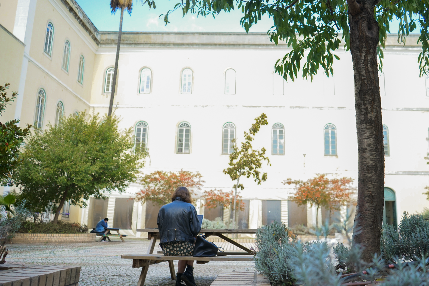 Quem Somos | NOVA IMS